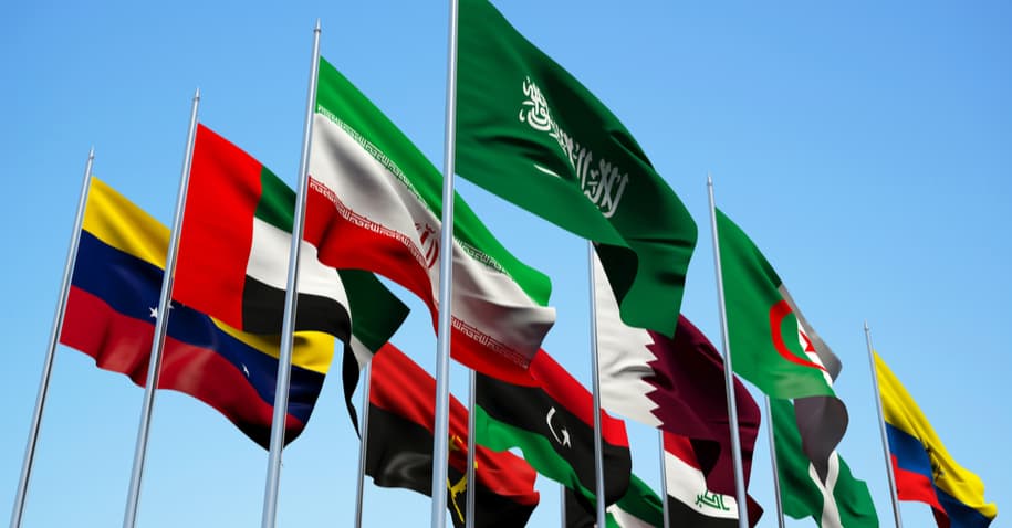 Bandeira Da Opep Conceito Opep Barris Petróleo Cor Bandeiras Países